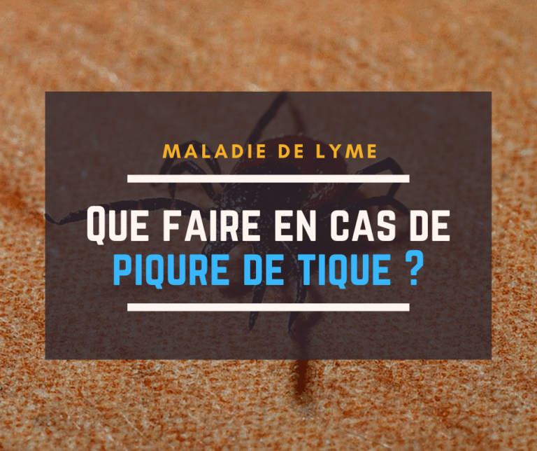 Articles sur la maladie de Lyme - Socialyme réseau des malades de Lyme