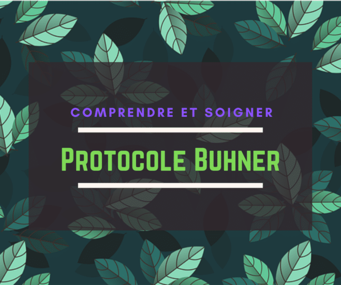 Protocole Buhner pour soigner la maladie de Lyme Naturellement